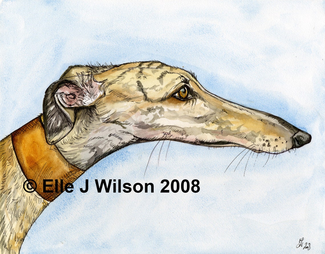 Greyhound Art Print - Etsy