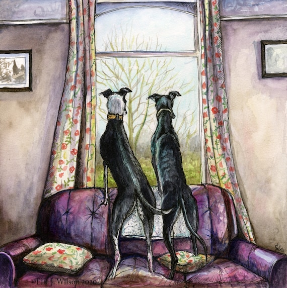 Greyhound DOG Art Print - Etsy