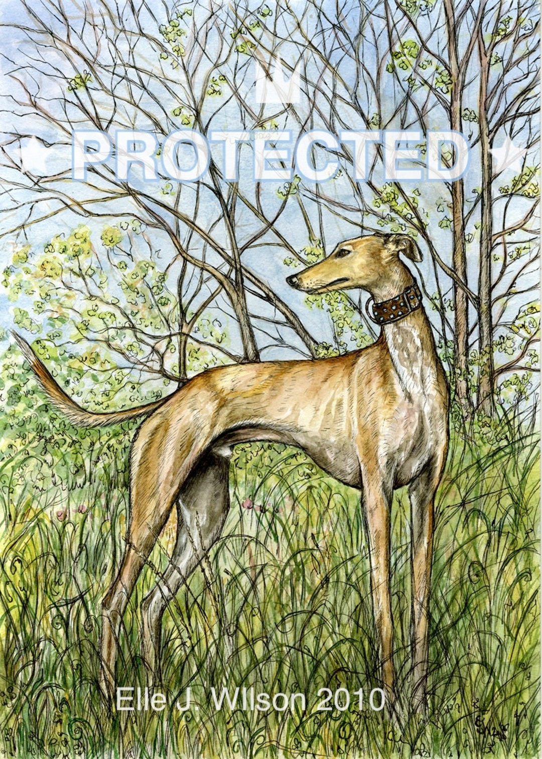 Greyhound Art Print - Etsy