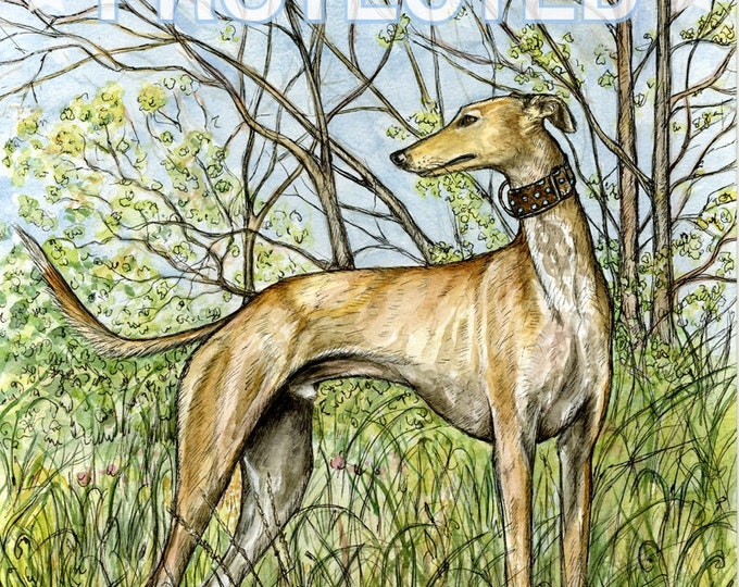 Greyhound Art Print - Etsy
