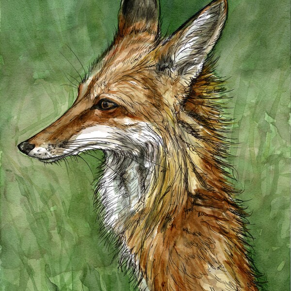 Fox Art - Etsy UK