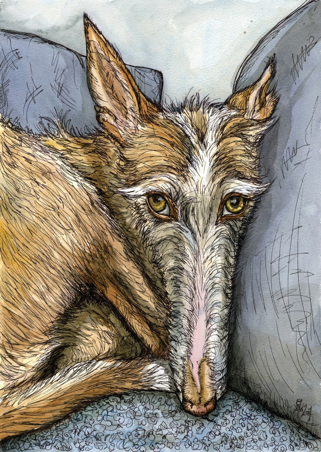 Ibizan Hound Dog Print - Etsy