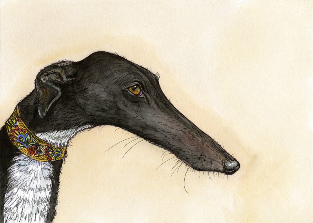 Greyhound Art Print - Etsy