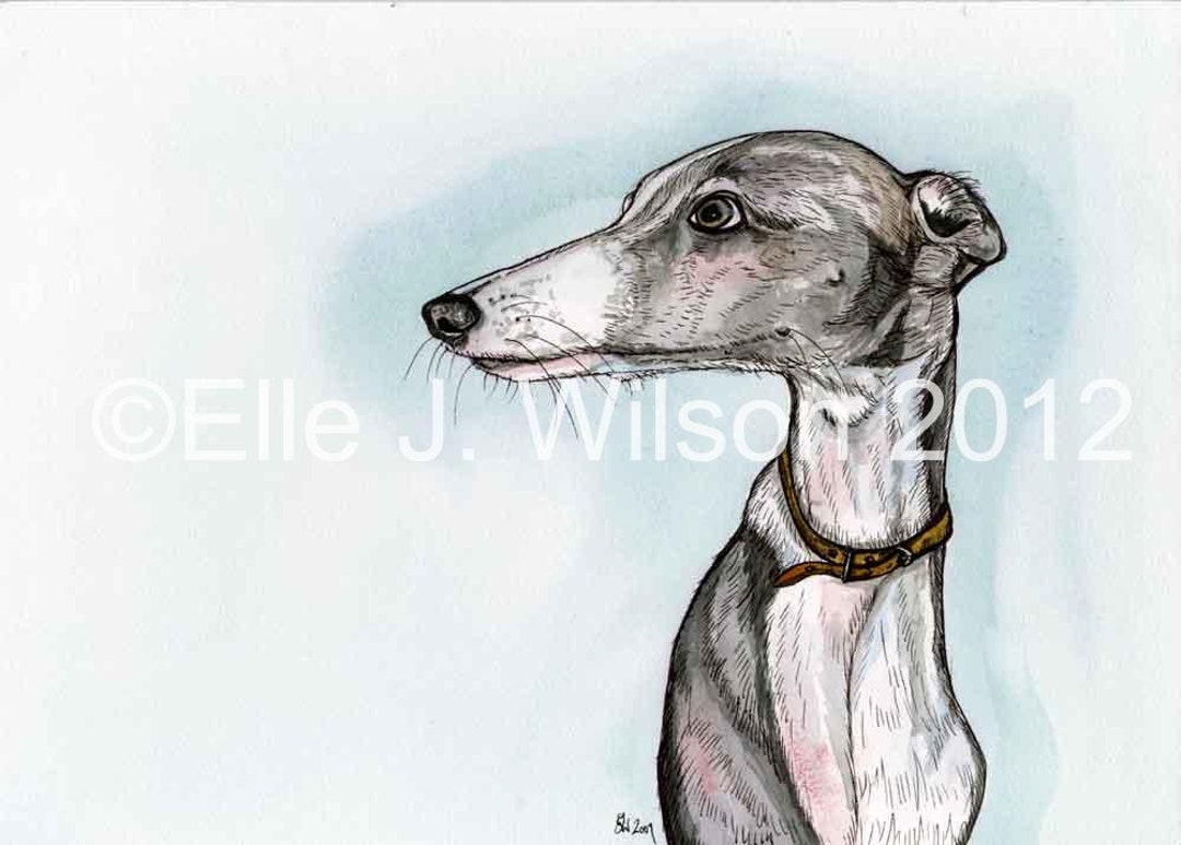 Whippet Art Print - Etsy