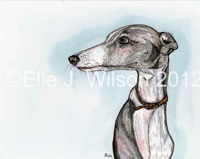 Whippet Art Print - Etsy