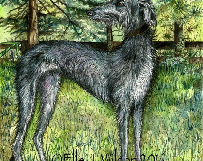 Deerhound Art Dog Print - Etsy