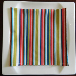Stripe Napkins, Set of 4. Multi-color Stripes. Every Day Napkins ...