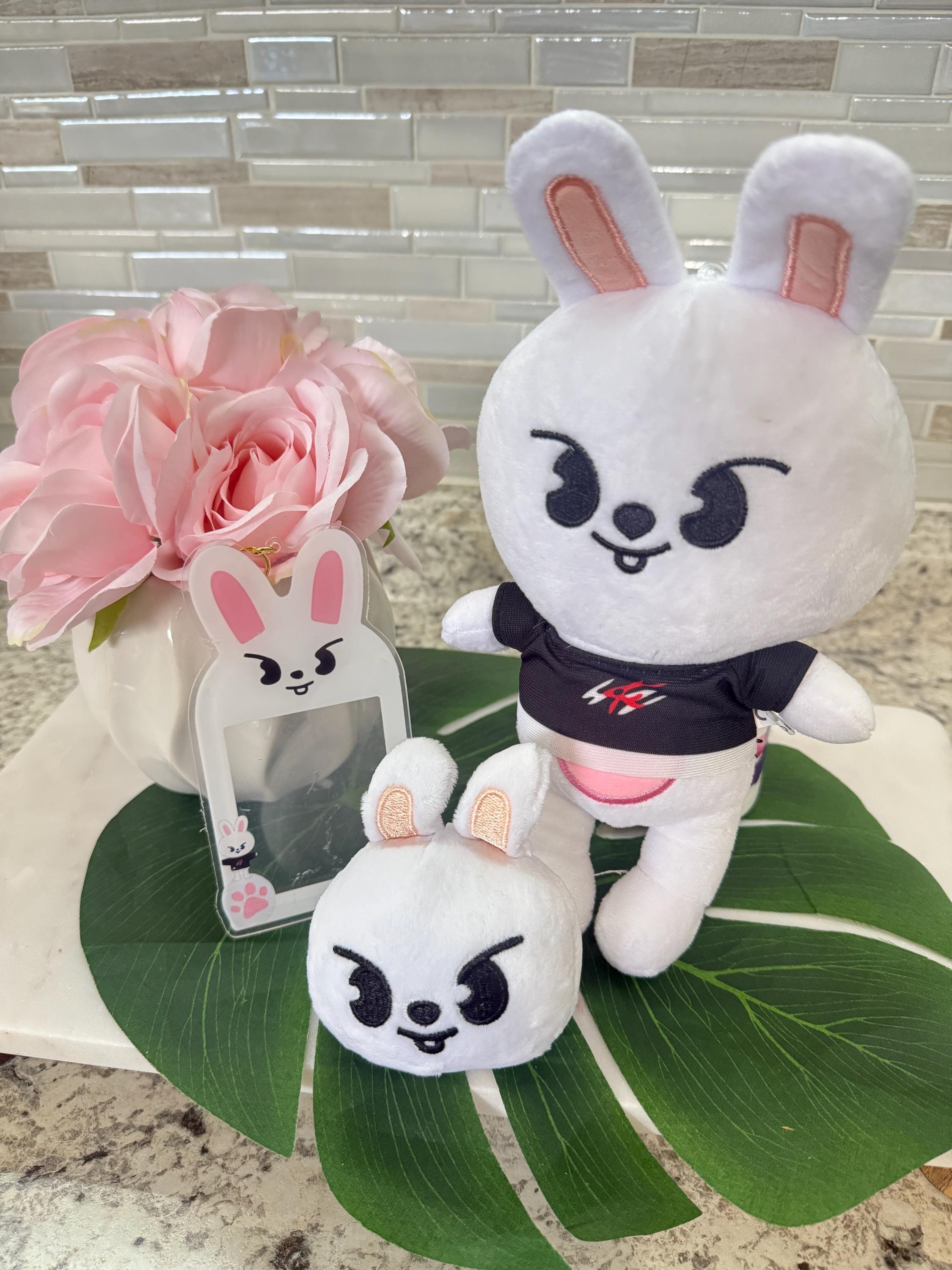 Fan Made STRAYKIDS SKZOO Plushie Bundles, Kpop Bundles - Etsy
