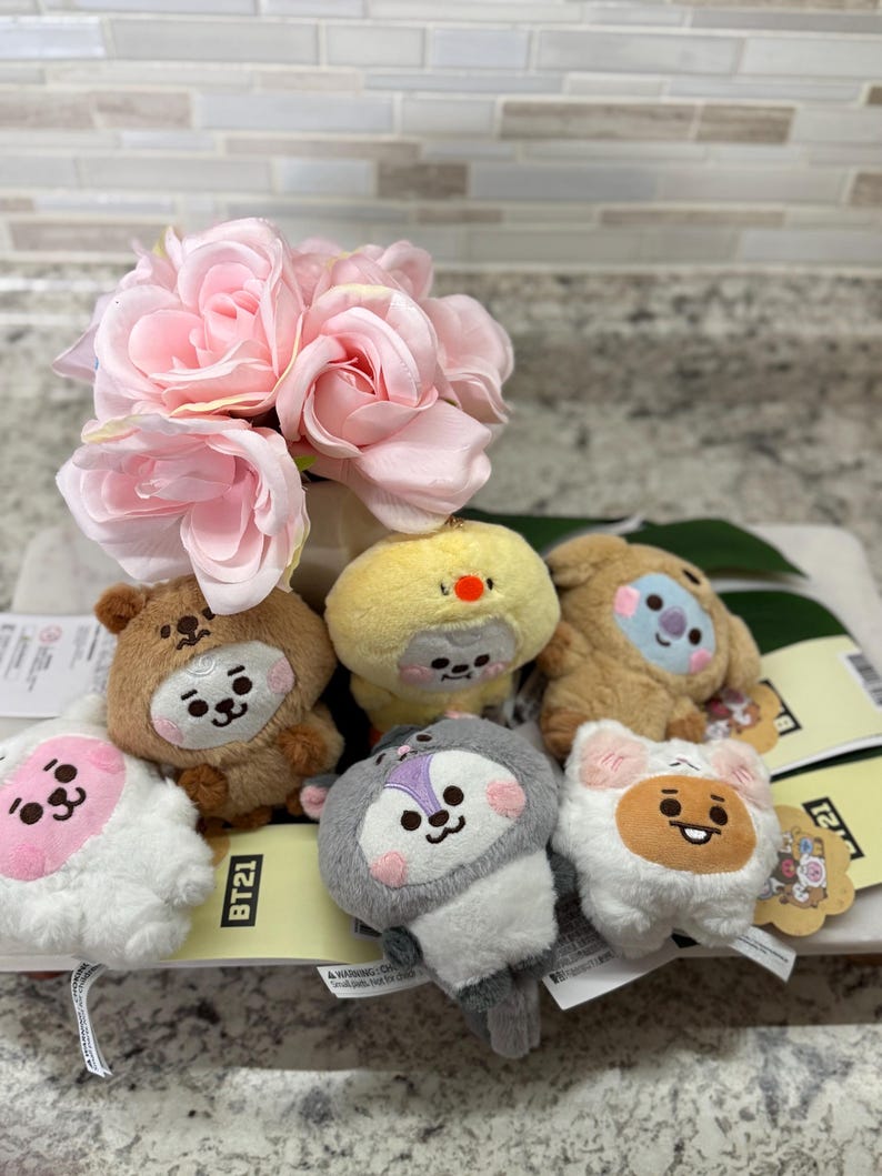 Fan Made BT21 Zoo Friends Plushies, Kpop Plushies, BTS Keychains - Etsy