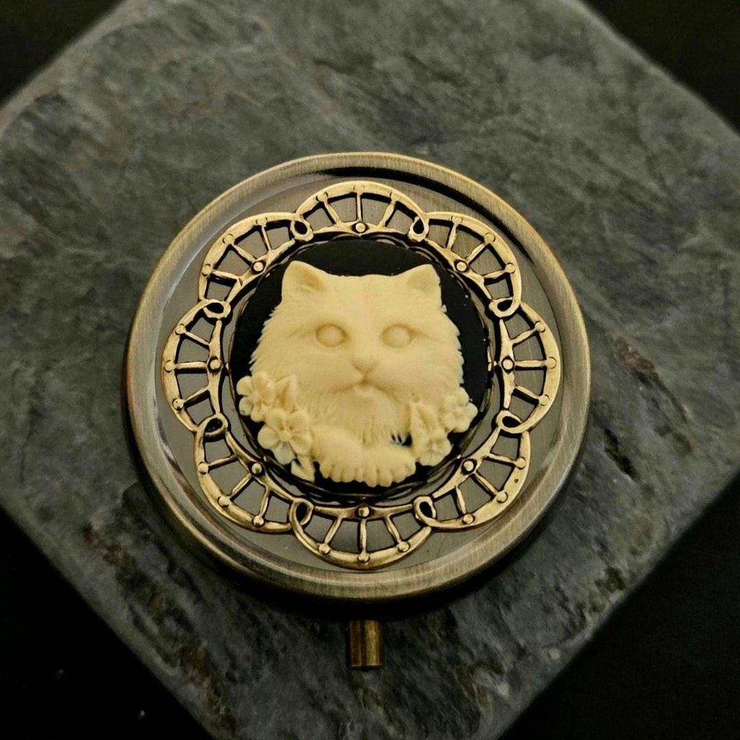 Cat Cameo Pill Box, Antique Brass Finish, Animal Lover Gift - Etsy