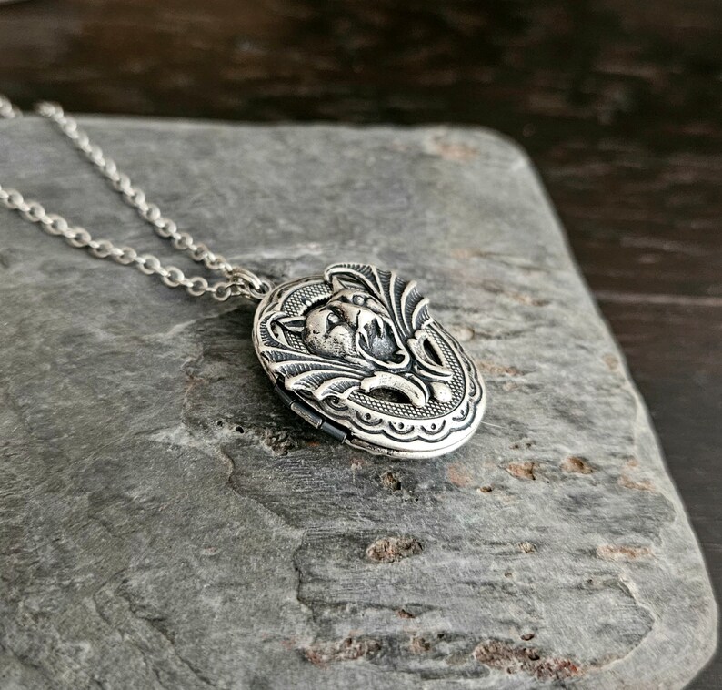 Silver Gargoyle Locket: Gothic Bat Jewelry - Etsy