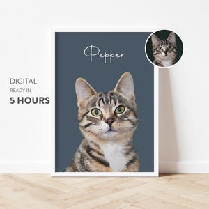 Custom Pet Portraits Using Pet Photo Personalized Digital Custom Pet Art Pet Drawing Dog ...
