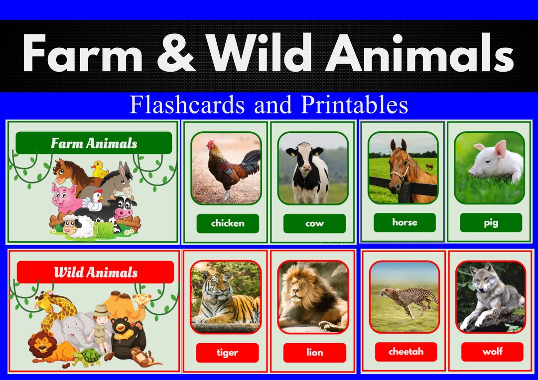 Farm and Wild Animals (with REAL Photos) Flash Cards | Bulletin Board ...