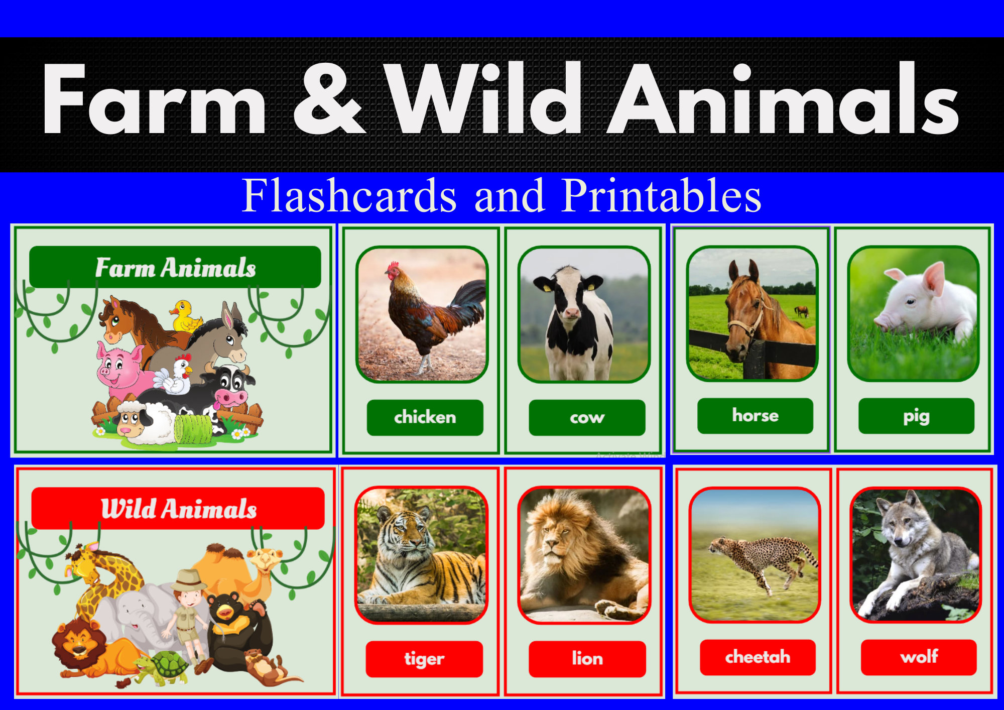 Farm and Wild Animals (with REAL Photos) Flash Cards | Bulletin Board ...