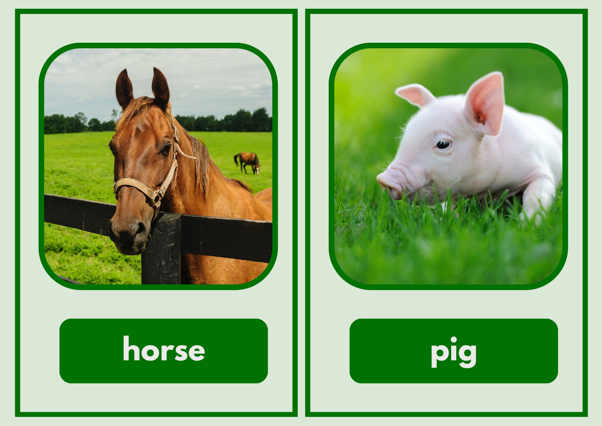 Farm and Wild Animals (with REAL Photos) Flash Cards | Bulletin Board ...