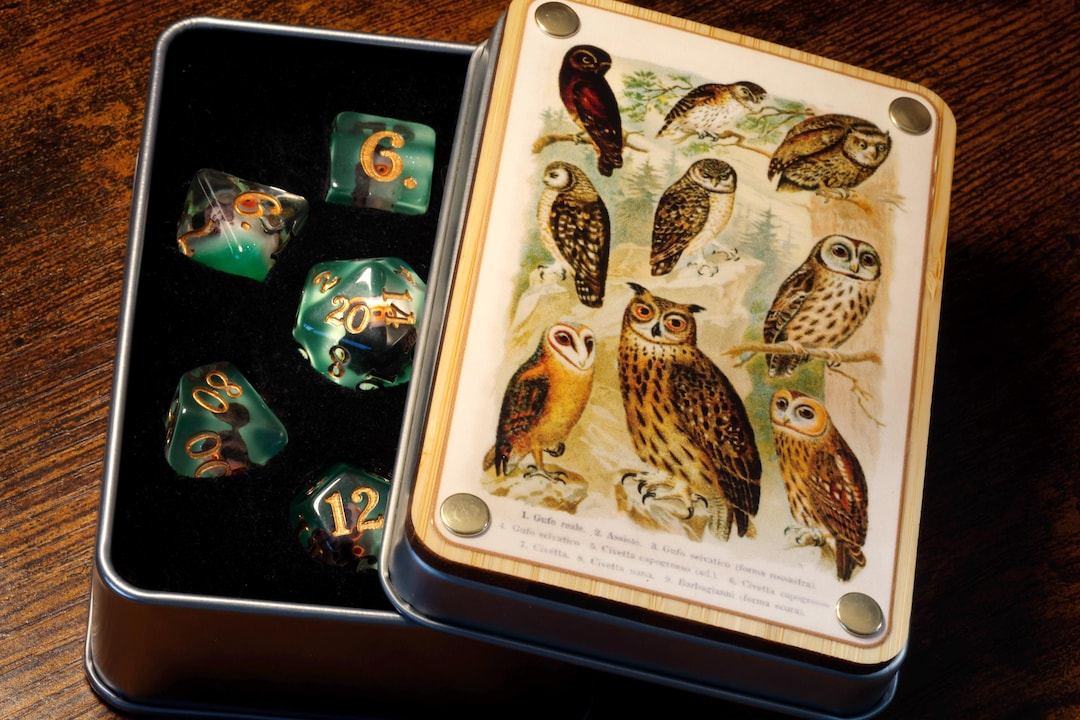 Natural History Owl Dice Box and Dice Set: Small Owl on Green Layer ...