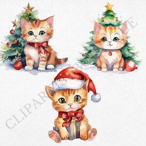 Christmas Kitten Clipart | 10 Png Kitten Images | Kitten Svg ...
