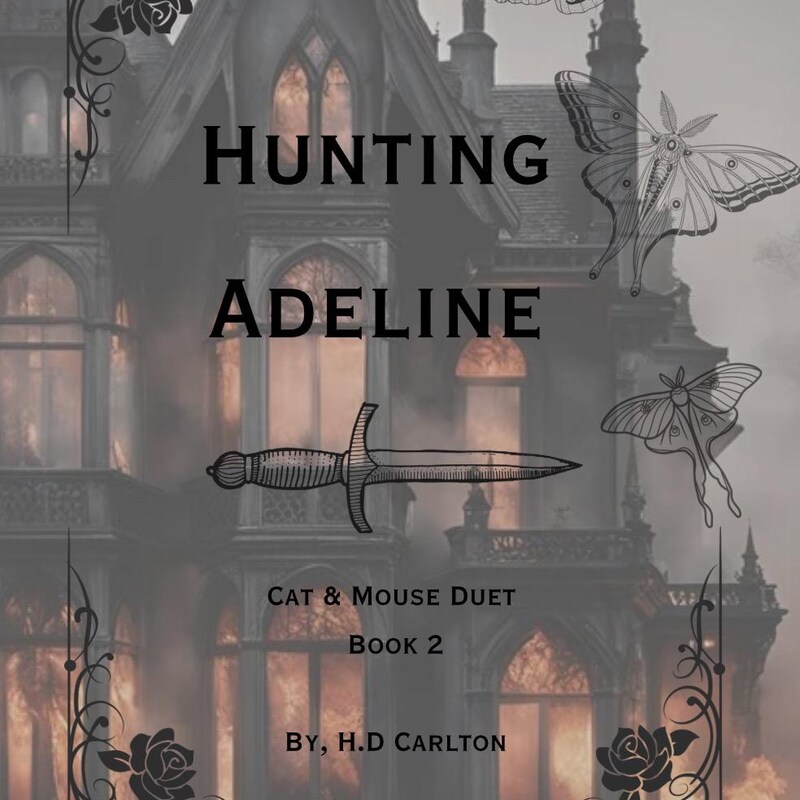 Dust Jacket Acotar - Etsy