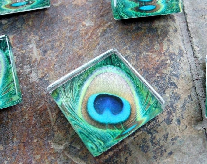 Peacock Square Glass Magnet Set - Etsy