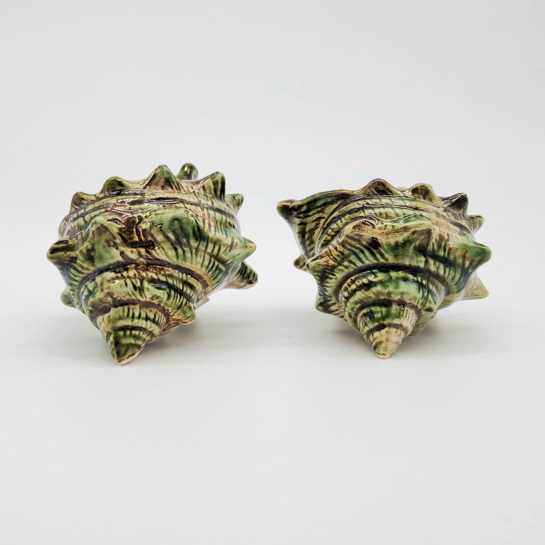 Pair of Majolica Green Ceramic Sea Shell Salt & Pepper Shakers - Etsy