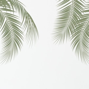 Palm Leaf Decals - Tropical Leaf Decals, Palm Leaf's Decals, Palm Leaf ...