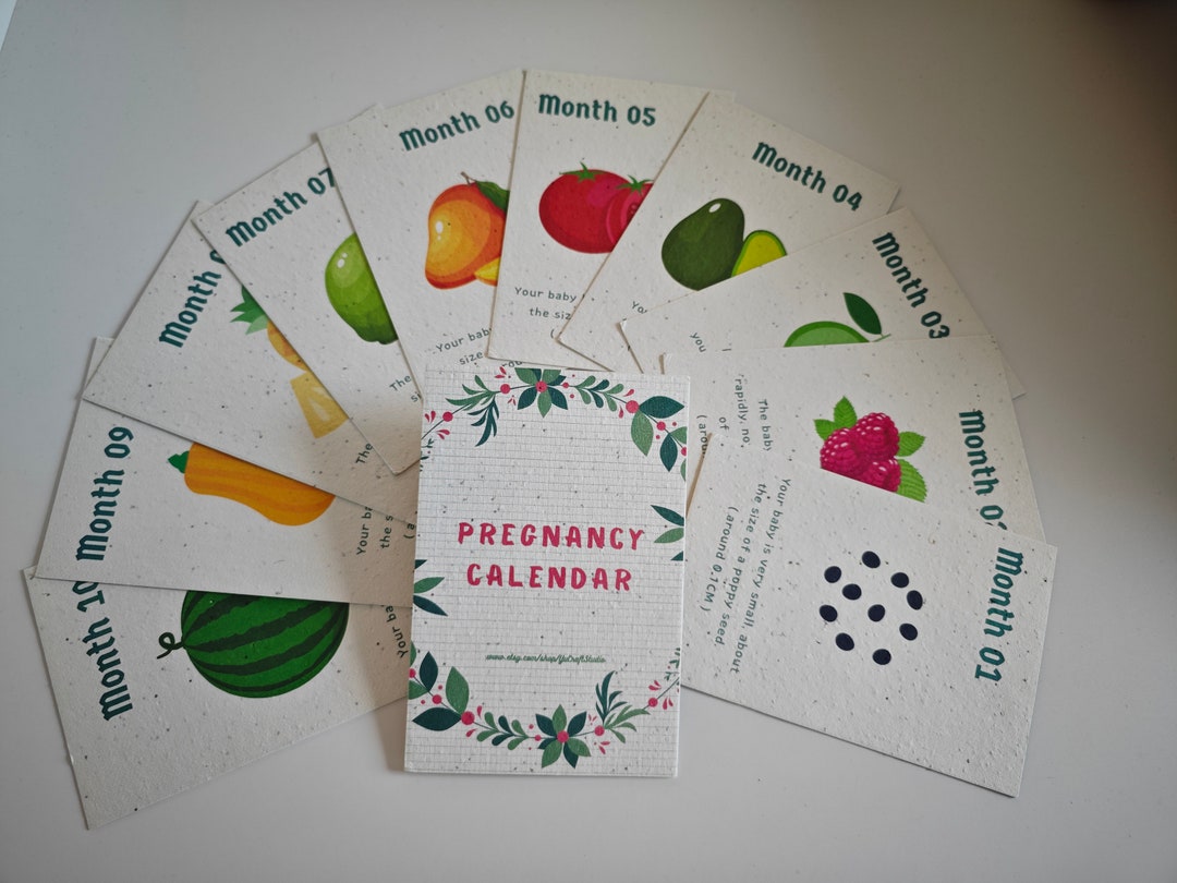Pregnancy Calendar With Seed Paper Month-by-month Baby Size Tracker ...
