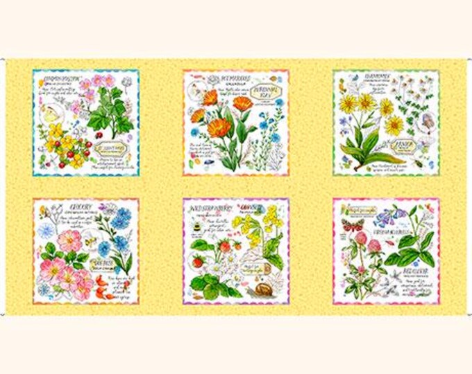 Jane Austen at Home Border Panel PANEL by Riley Blake Designs - Etsy