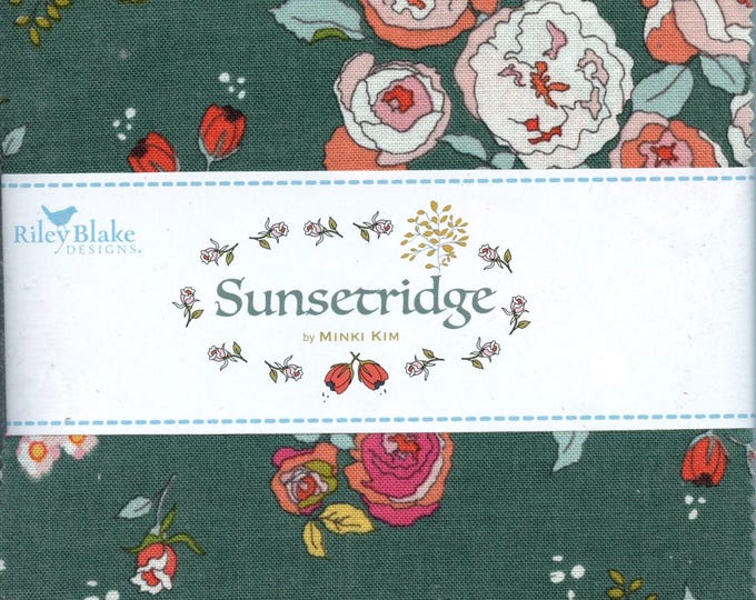 Jane Austen at Home Border Panel PANEL by Riley Blake Designs - Etsy