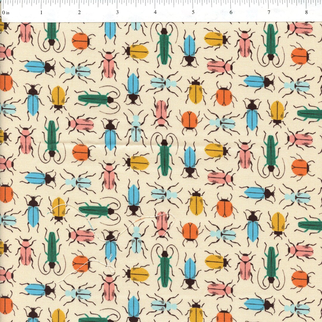 Beetles and Butterflies Colorful Crawlies by Dominika Godette for ...