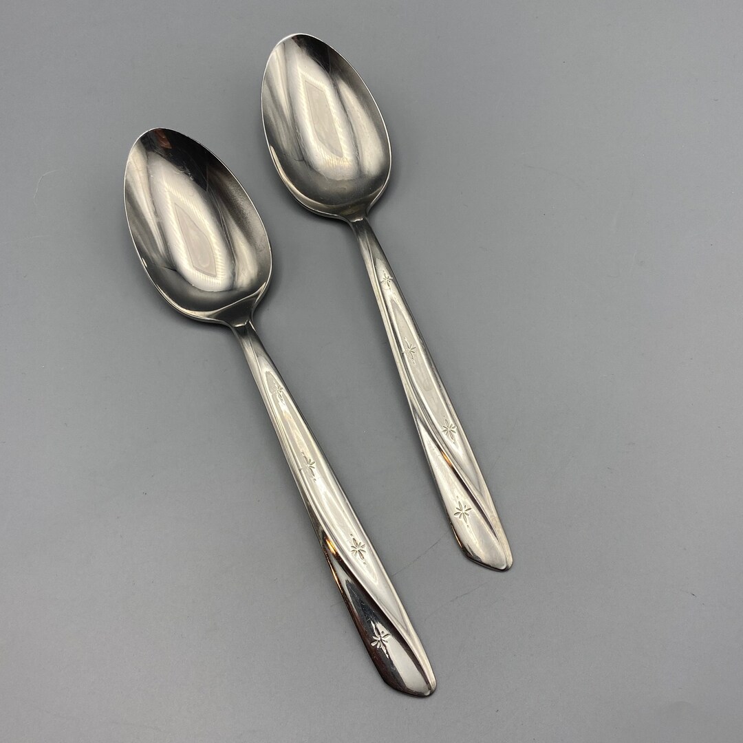 Insico CONSTELLATION Solid Serving Spoons, 2pcs, Mid Century Stainless ...