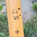 Handmade Yew Wood English Longbow: 52 Lb Draw - Etsy