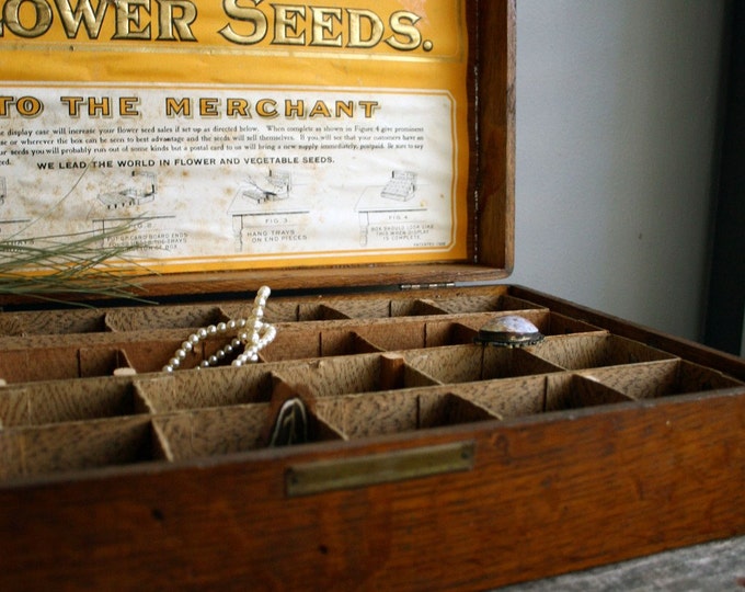 Antique General Store Seed Display Case - Etsy