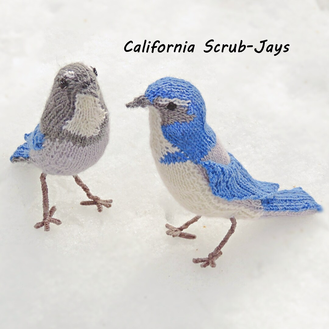 Knitting Pattern - Boisterous Blue Jays - Etsy