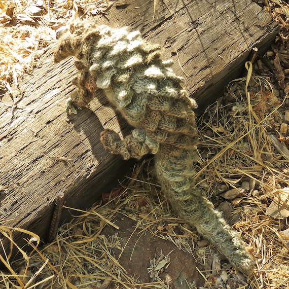 Knitted Creatures Assorted Animals Hand Knitted | Etsy