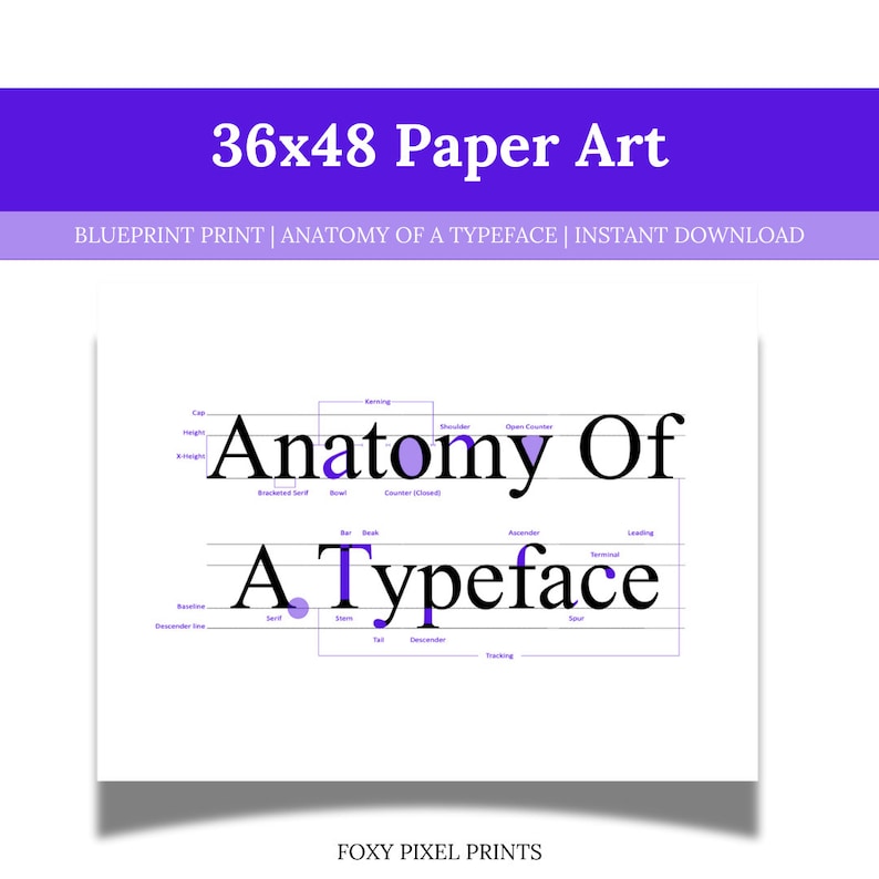 Anatomy of a Typeface Digital Download PDF Wall Art Blueprint Art Printable Art Paper Art 36x48 ...