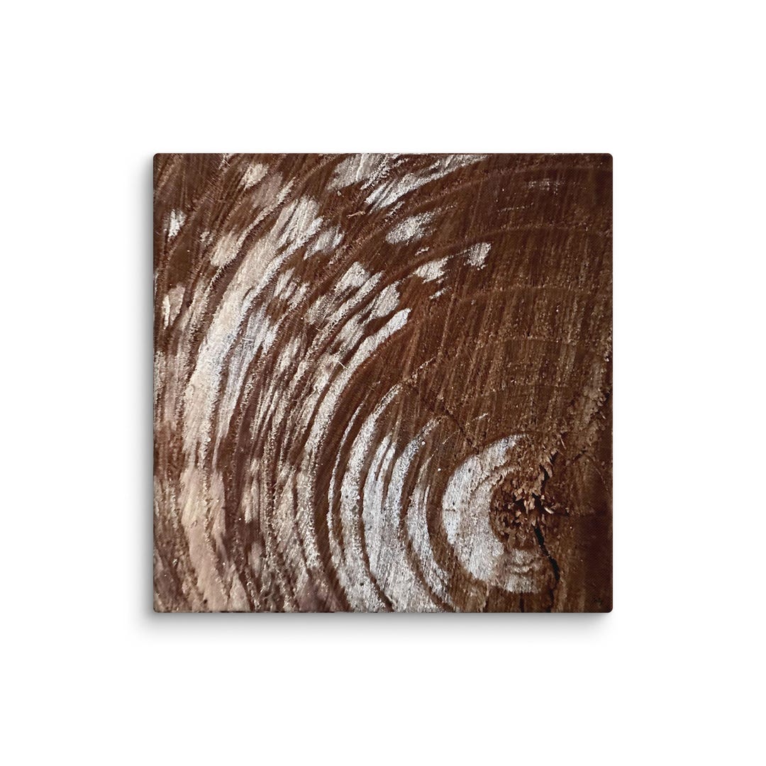 Spiral Tree Bark Ring Photography Canvas Print 20x20 Counterclockwise ...