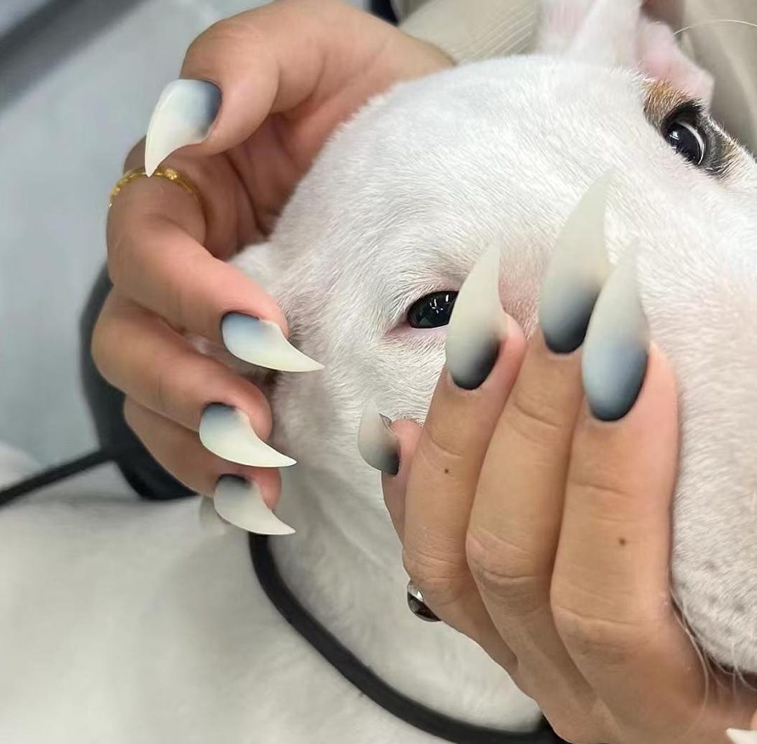 Claw Nails Cat Claw Nails Werewolf Nails Vampire Nails Claw Gloves ...