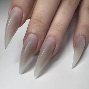 Westempress Dragon Nails Cat Claw Nails Press on Nails Animal Claws ...