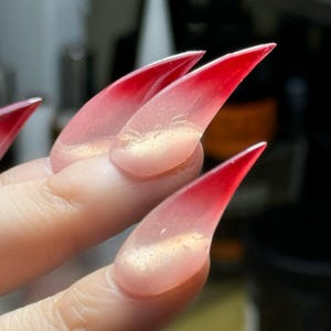 3D Dragon Claw Nail Art, Gray Wolf Claw Gradient 3D Press on Nails, Y2K ...