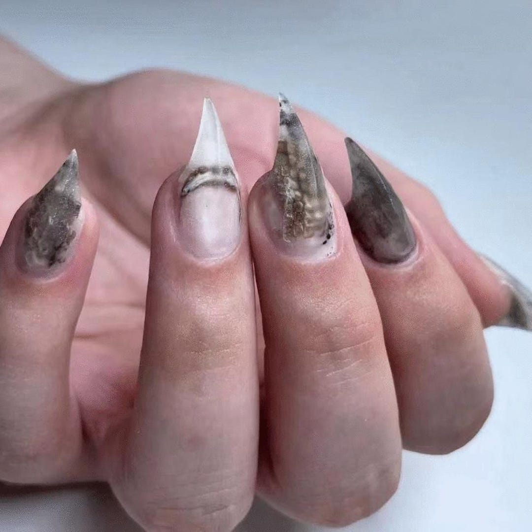 Talon Nails 3d Press on Nails Sharp Nails Dragon Nails Dragon Gloves ...