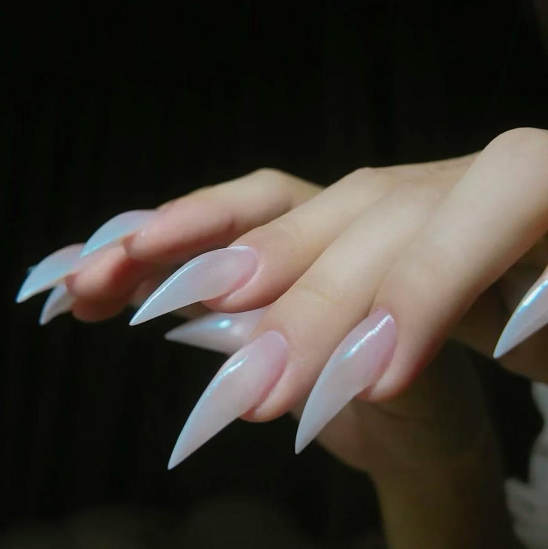 Dragon Nails Glove Nails 3d Nails Sharp Nails Claw Press on Nails Fox ...