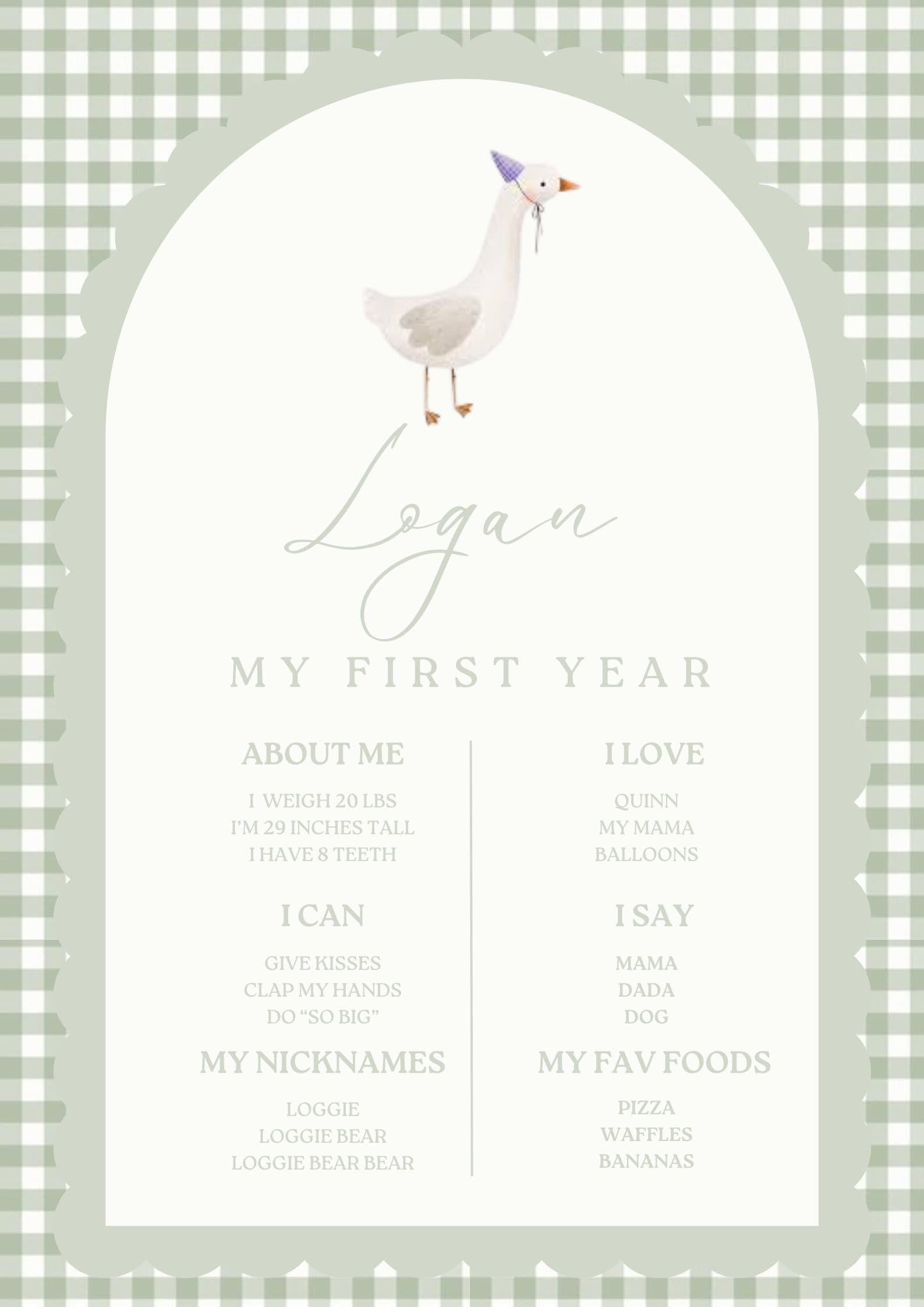 One Silly Goose Editable Milestone Board, Silly Goose Birthday, Instant ...