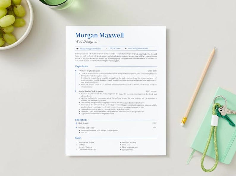 Modern Resume Template for Professionals High Quality Editable PDF - Etsy
