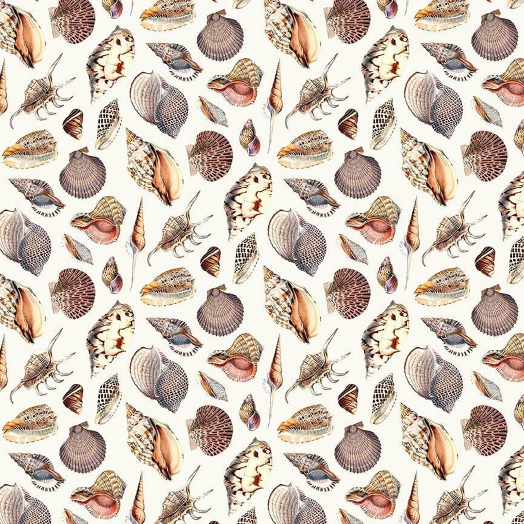 Seashell Cotton Fabric: Cream Coastal Print, Beach Dreams - Etsy