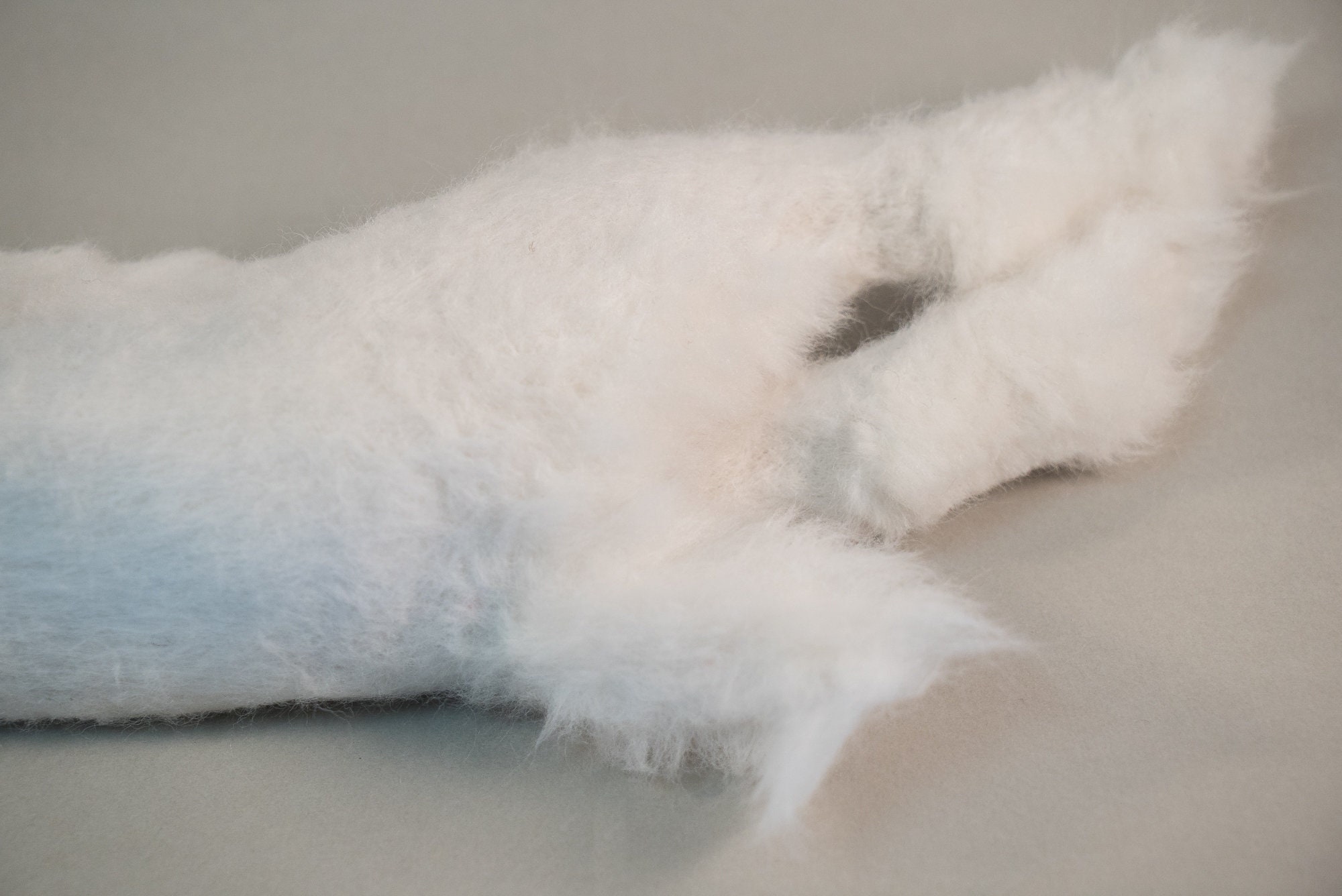 Life-sized Needle Felted Animal Faux Taxidermy Albino Rabbit - Etsy