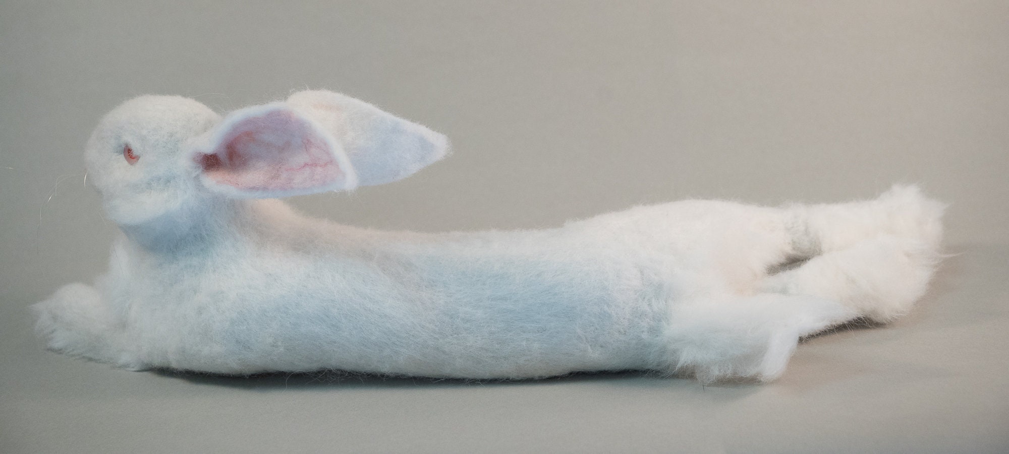 Life-sized Needle Felted Animal Faux Taxidermy Albino Rabbit - Etsy