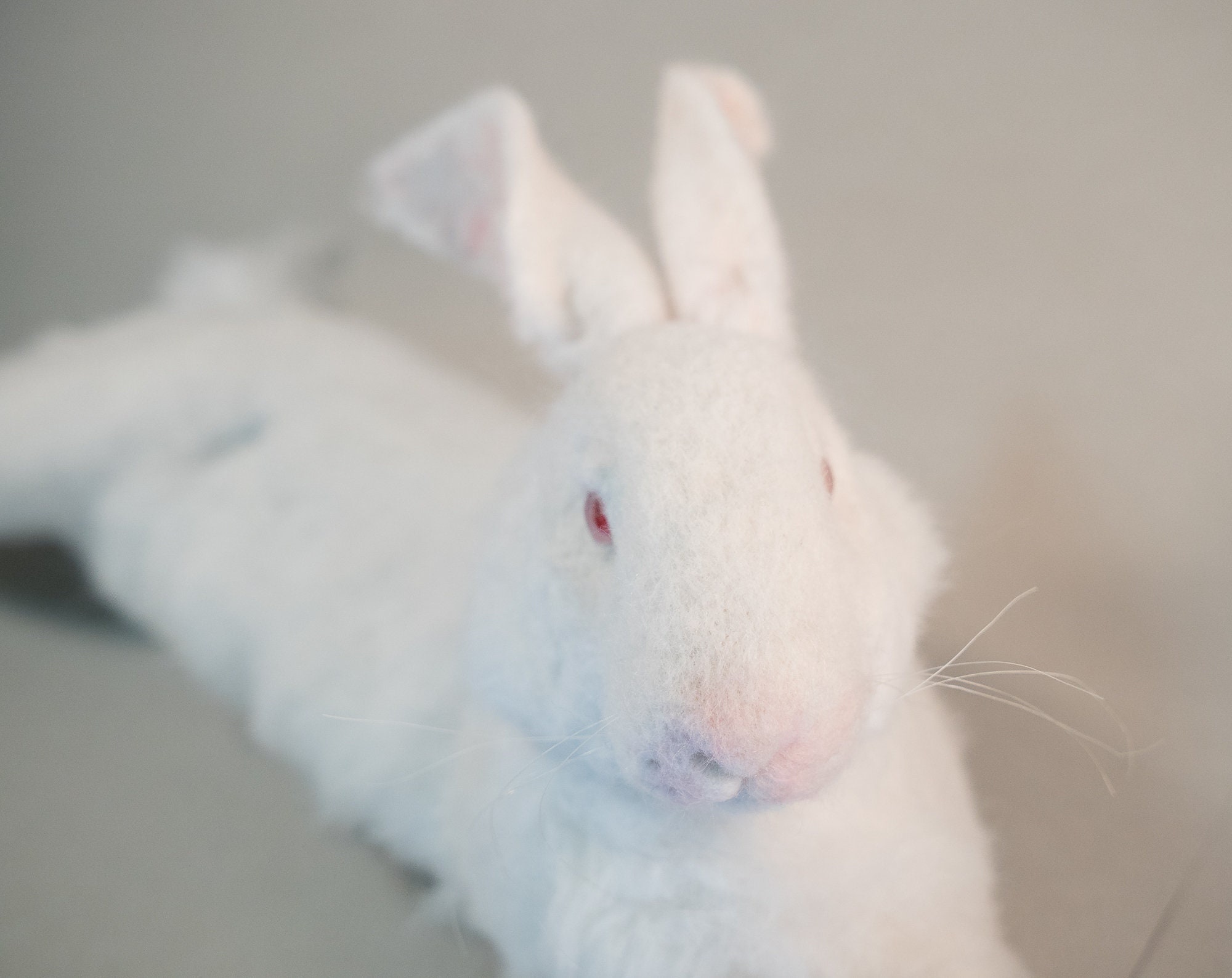 Life-sized Needle Felted Animal Faux Taxidermy Albino Rabbit - Etsy