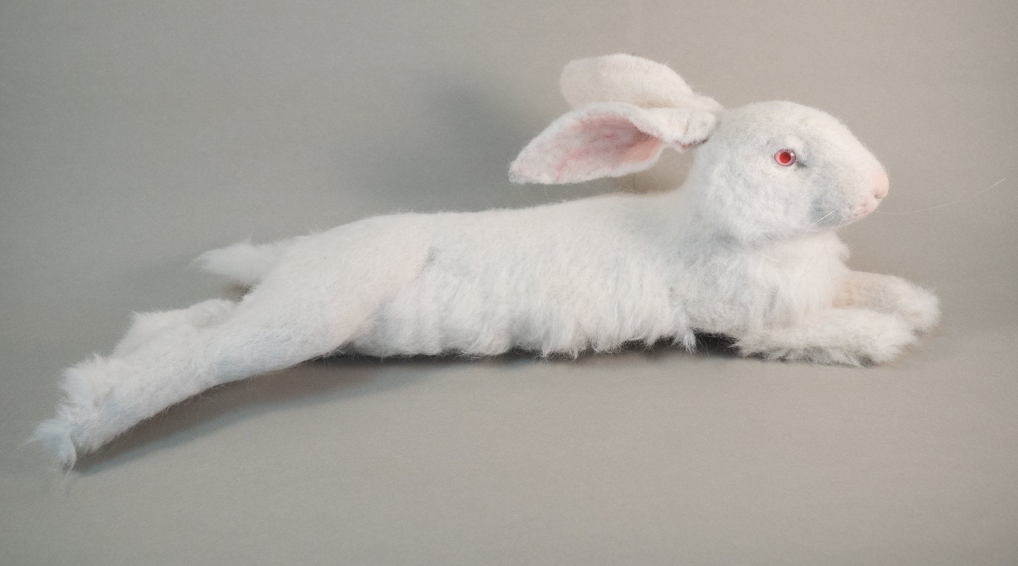 Life-sized Needle Felted Animal Faux Taxidermy Albino Rabbit - Etsy
