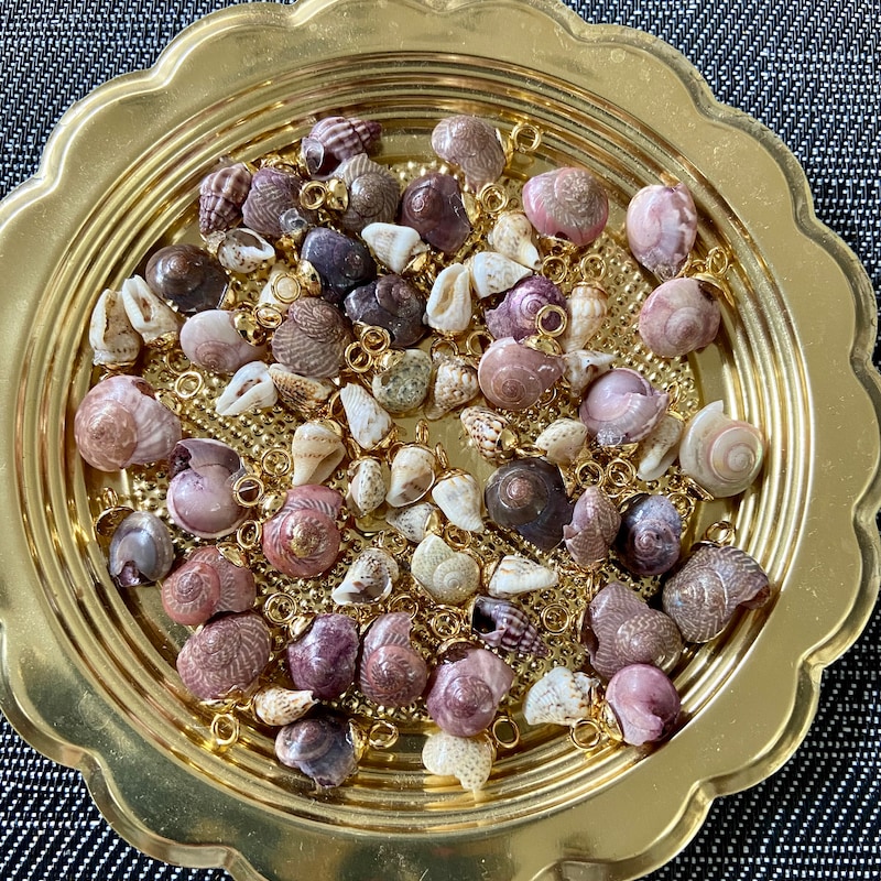 Shell Charms - Etsy