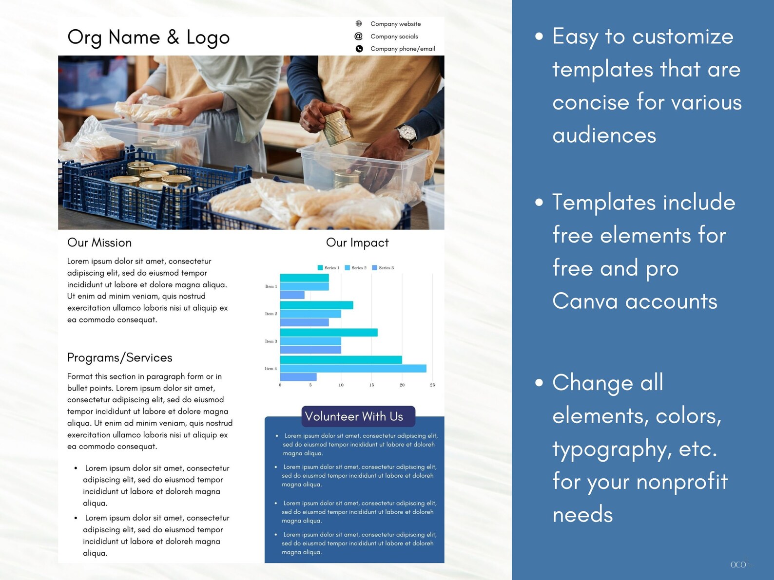 Nonprofit One Pager Template Bundle, Customizable Canva Templates ...